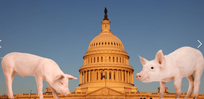 Pork Spending - Freedom Stump
